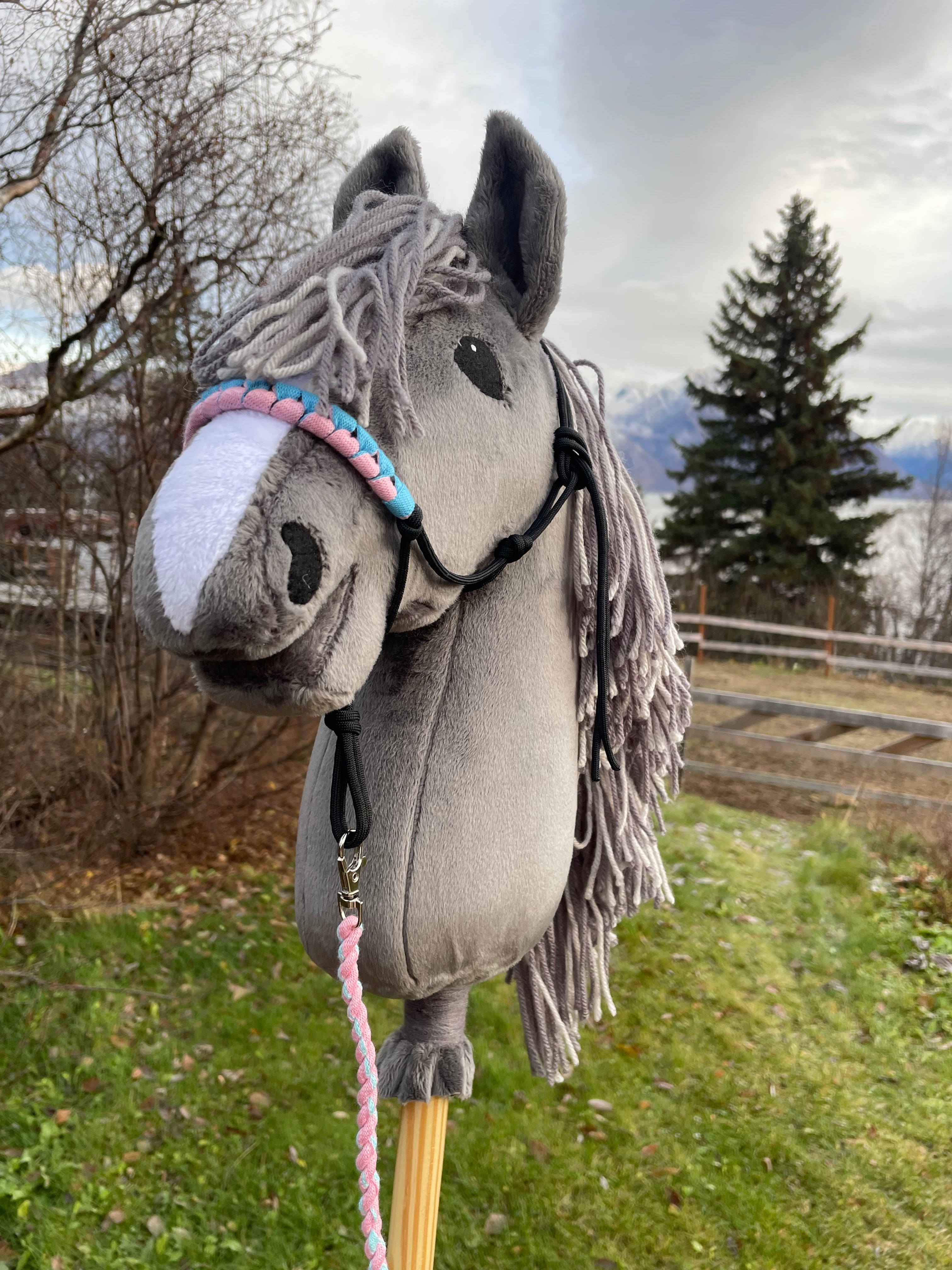 Hobby Horses from USA – Cloudberry Stables
