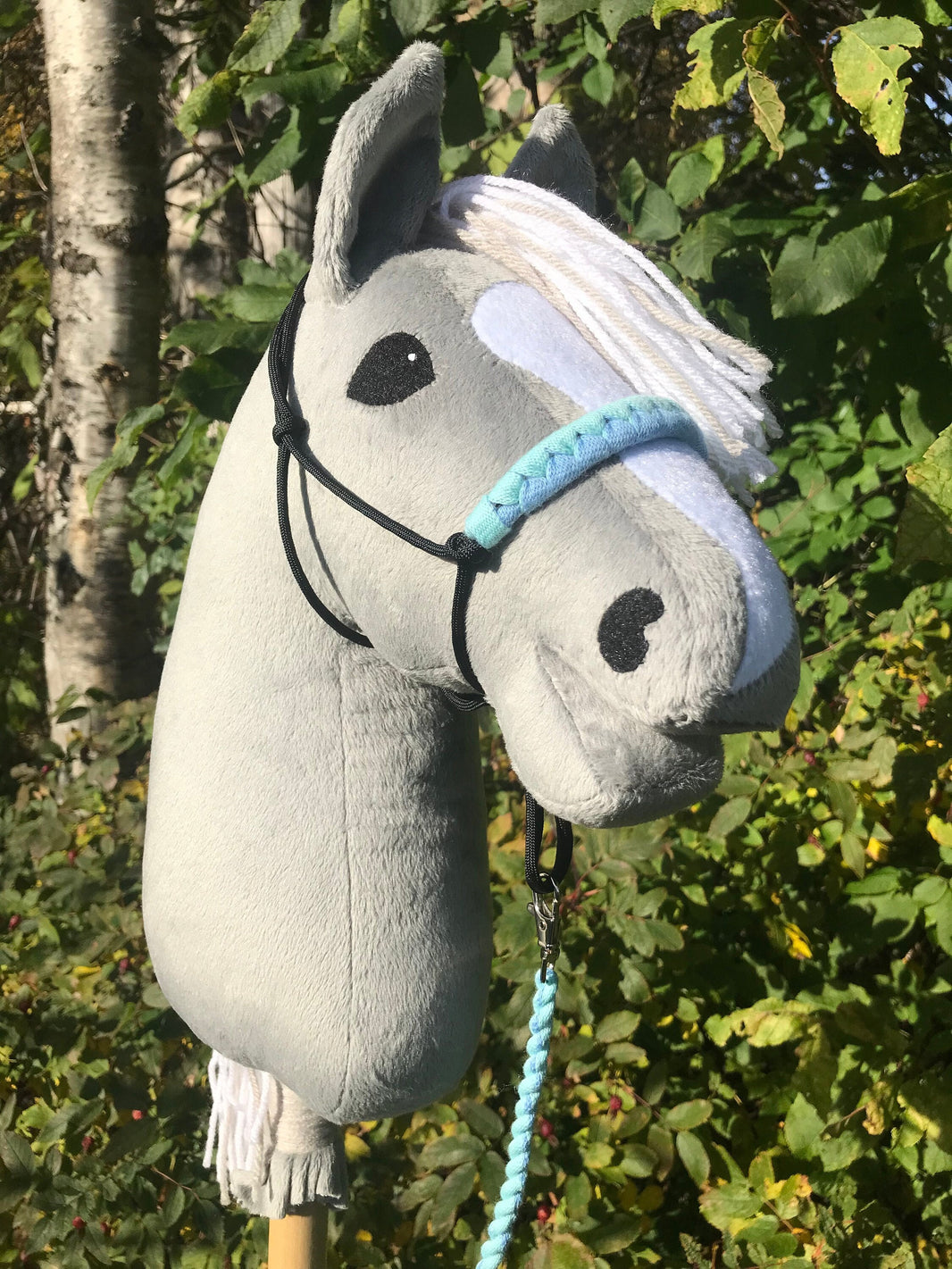 Hobby Horses from USA – Cloudberry Stables